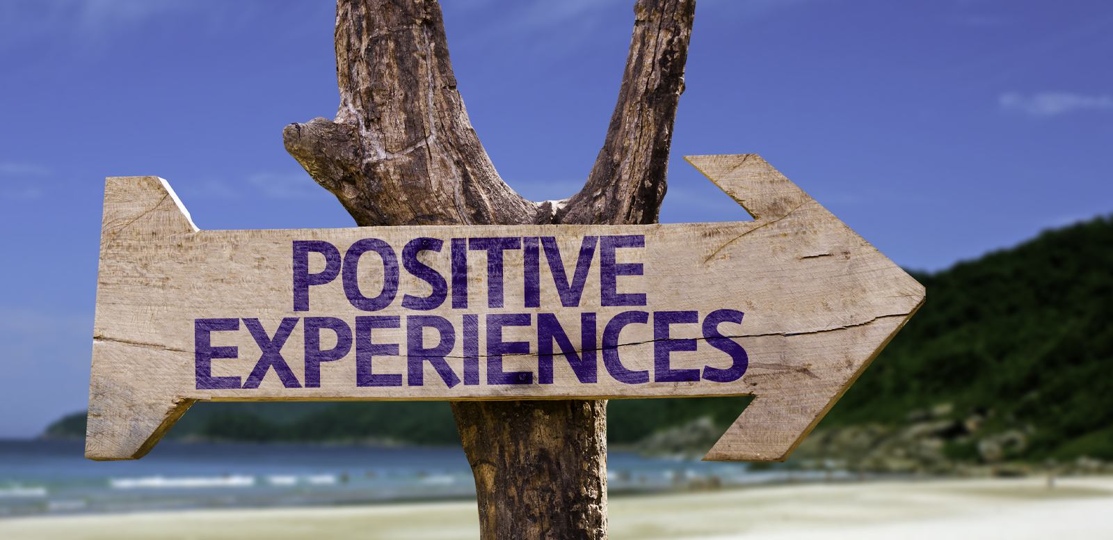 The extraordinary benefit of delivering a positive prize experience ...